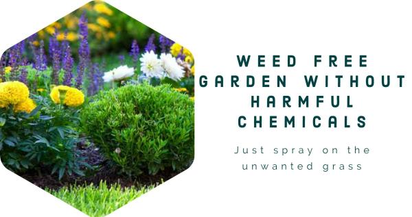 TIDY FOX Cleaning Vinegar / Synthetic / White / Made In India / 5 Ltr ...