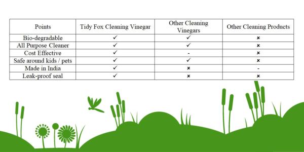 TIDY FOX Cleaning Vinegar / Synthetic / White / Made In India / 5 Ltr ...