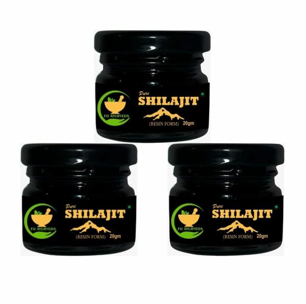 FIJ AYURVEDA Ayurvedic Pure Shilajit/Shilajit Resin (Semi Liquid ...