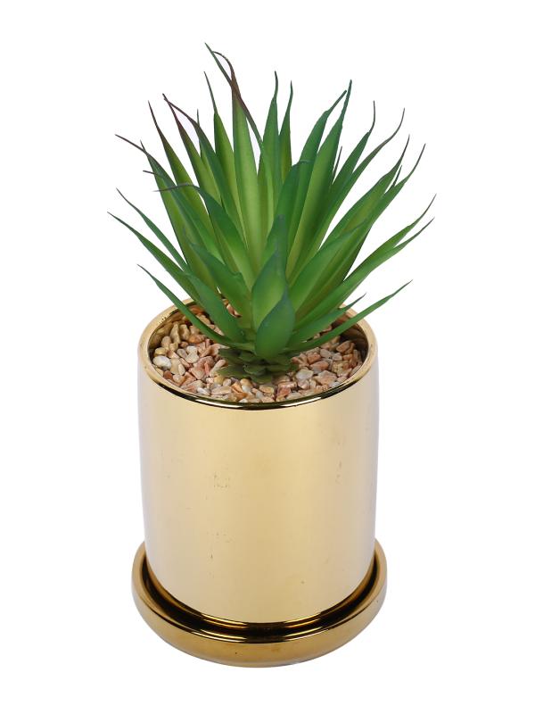 Fourwalls Artificial Succulent Plant in a Ceramic Pot for Home Décor ...