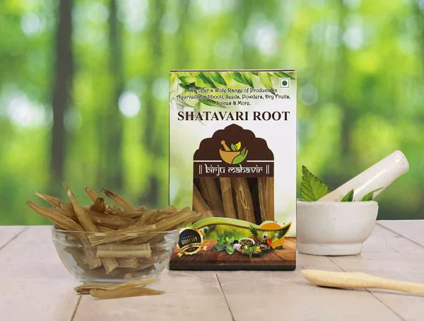 BrijBooti Shatavari Root - Asparagus Racemosus - Satawar - Satawari 100 ...