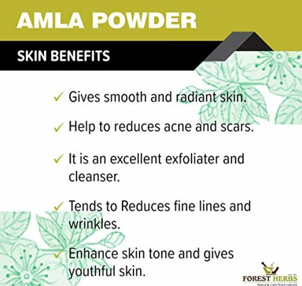 The Forest Herbs Amla Indian Gooseberry Powder For Hair Growth Eating ...