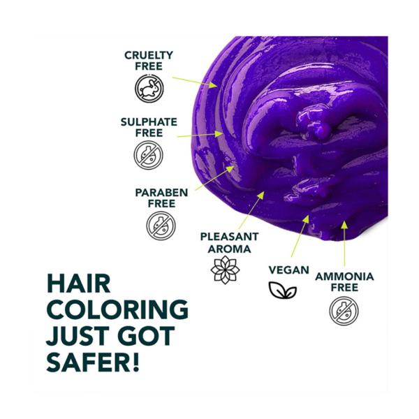 Paradyes Ammonia Free Crinkle Violet Semi-permanent Hair Color jar only ...