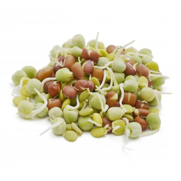 Goodness Grocery Premium Mixed Whole Pulses for Sprouts / Sprouting Mix ...