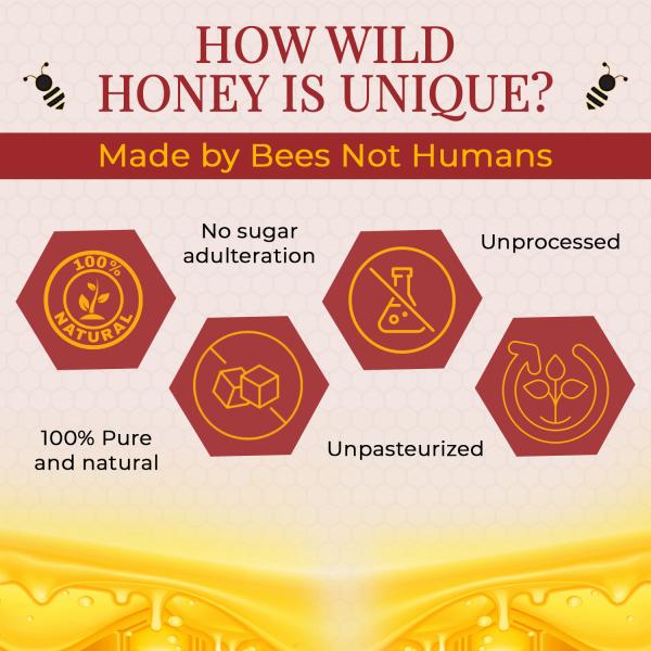 Farm honey Wild Honey Unprocessed Pure Natural Honey 500gm - JioMart