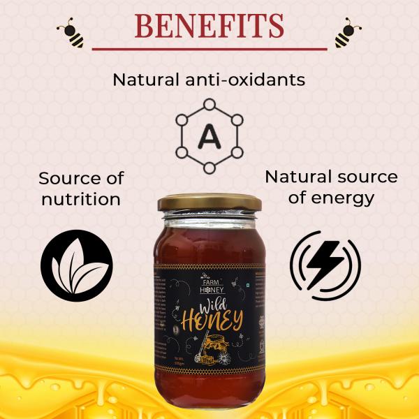 Farm honey Wild Honey Unprocessed Pure Natural Honey 500gm - JioMart