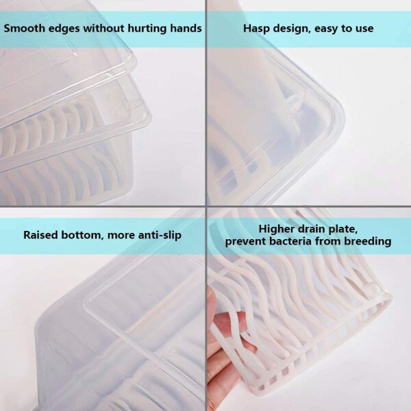 ZooY Multi-Purpose Food Storage Container Clear - JioMart