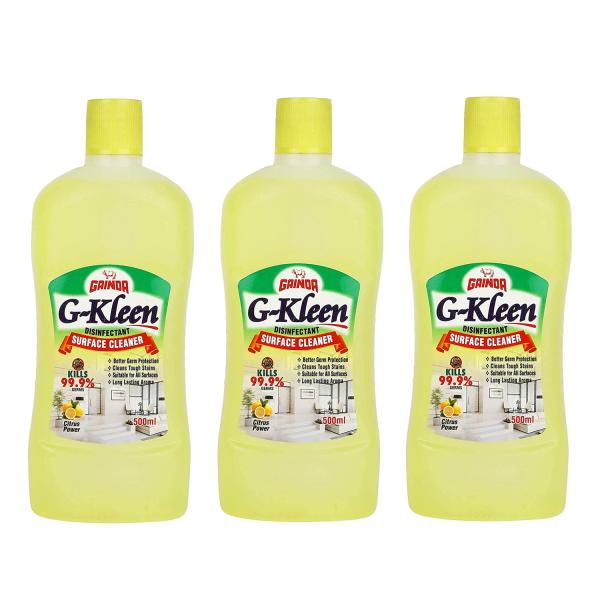 GAINDA G-Kleen Disinfectant Multipurpose Surface Floor Cleaner - (3 x ...