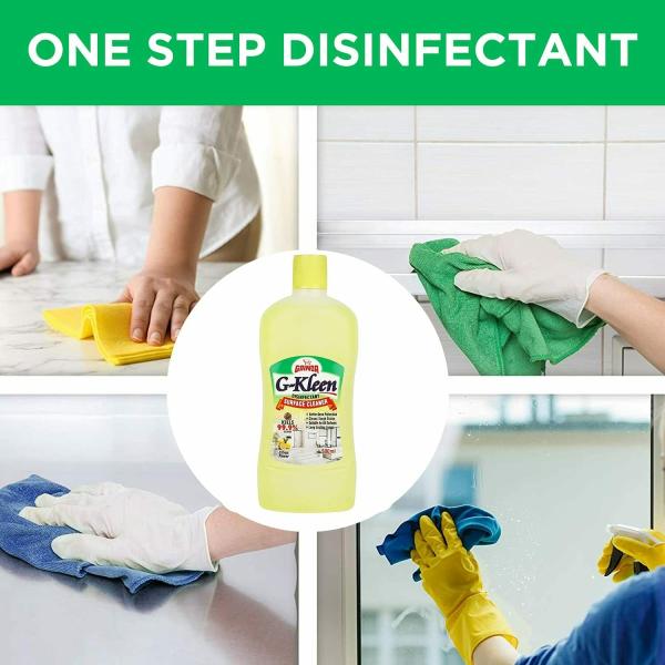 GAINDA G-Kleen Disinfectant Multipurpose Surface Floor Cleaner - (3 x ...