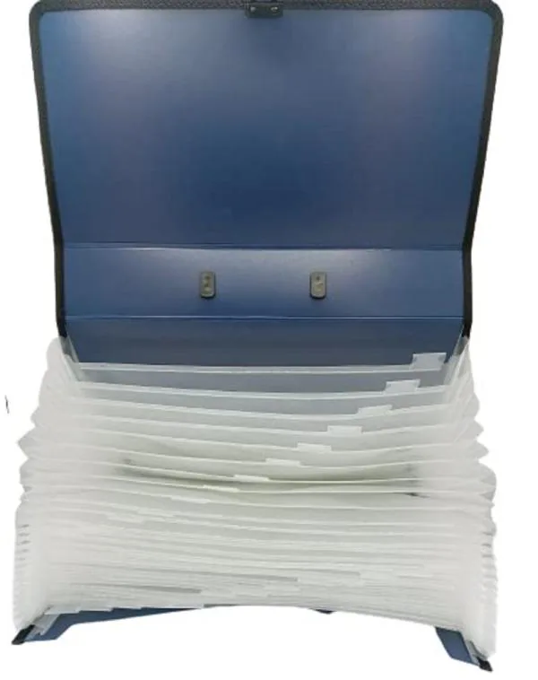 GOLD LEAF Plastic Navy Blue Jumbo Expanding File Folder, Strong Handle ...