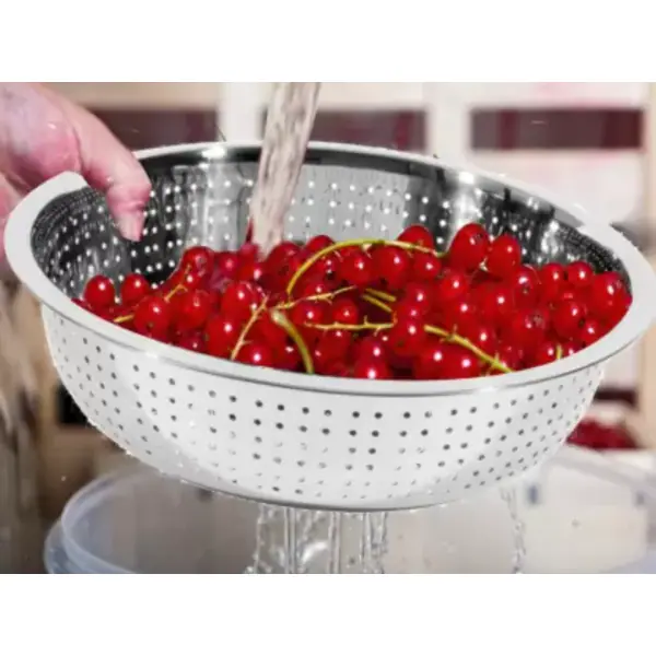 SHINI LIFESTYLE Stainless Steel Colander for Washing Rice Fruits ...