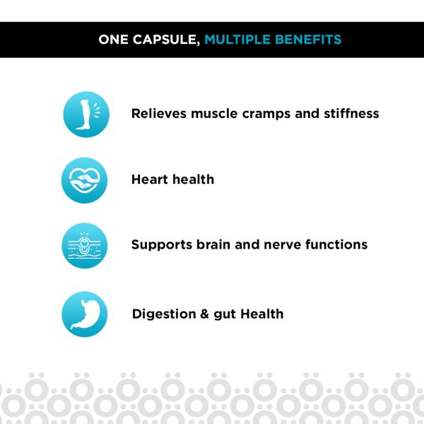 Hohner Magnesium 310mg | Once a Day | Muscle Relaxation, Energy and ...