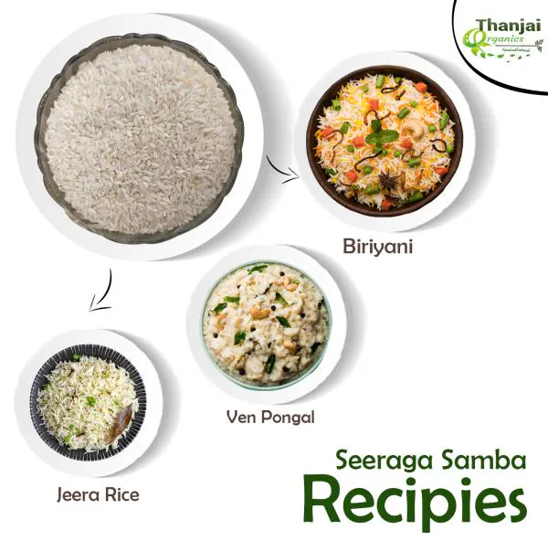 Thanjai Organics Seeraga Samba Rice, 15 Kg | Zeera Sama Rice | Biryani Rice | Tranditional ...