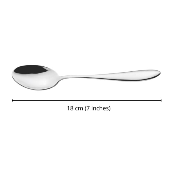 Vinod Florence 12 piece stainless steel baby spoon set, Heavy Gauge ...