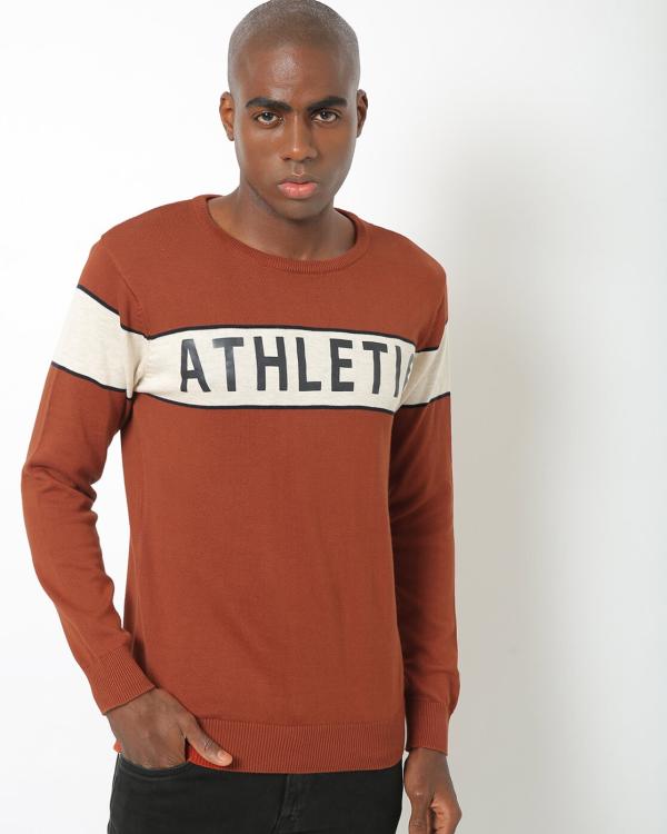Typographic Print Knitted Pullover - JioMart