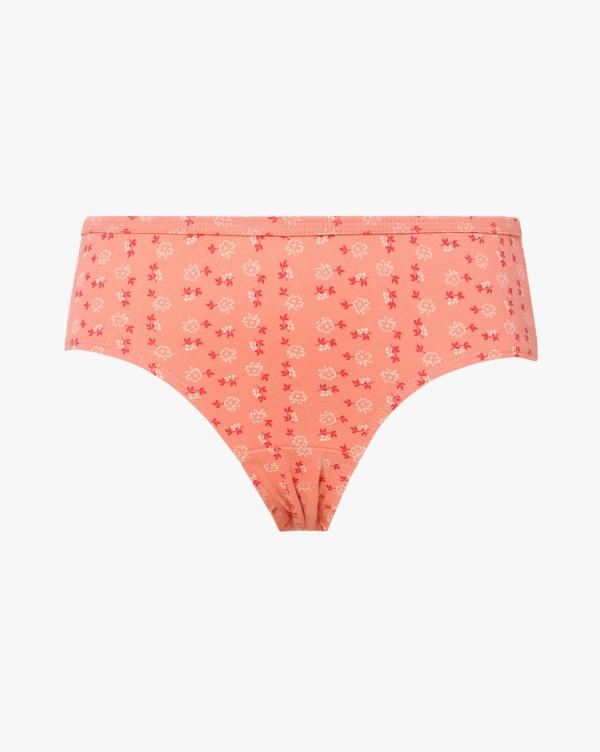 Pack of 3 Floral Print Hipster Briefs - JioMart