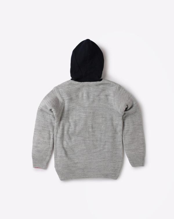 Printed Reversible Hooded Sweater - JioMart