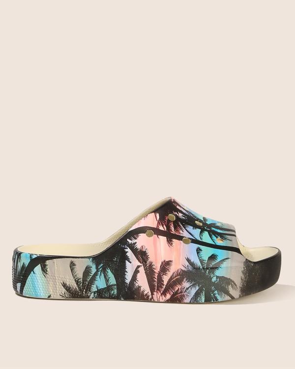 Printed Slides with Perforation - JioMart