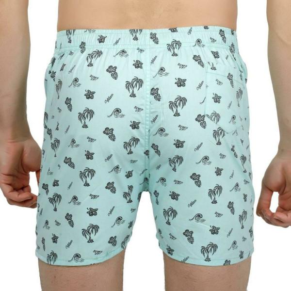 Ramarrow Men Light Green Printed Pure Cotton Boxers - XXL - JioMart
