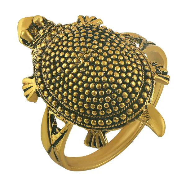 Memoir Gold plated Brass Black dotted Back, Vaastu Fengshui Kachua ...
