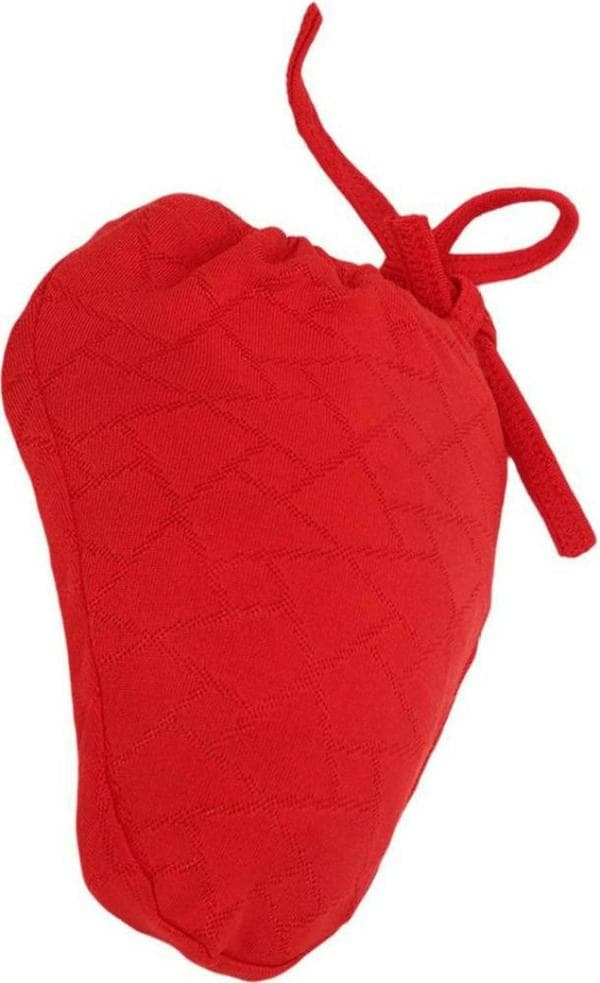 La inTimo Red Solid Lycra Blend Brief - JioMart