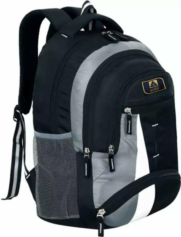 Avila Black Polyester Laptop Backpack 30L - JioMart
