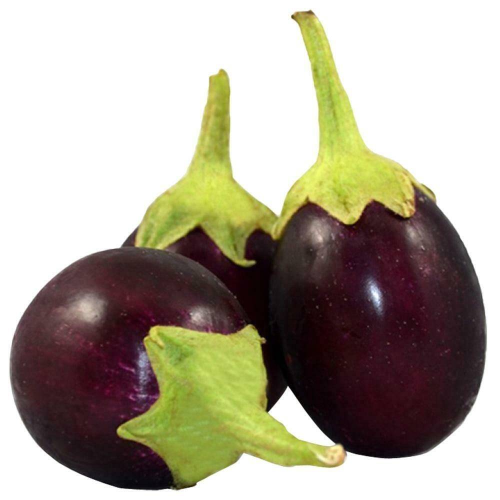 Brinjal Images