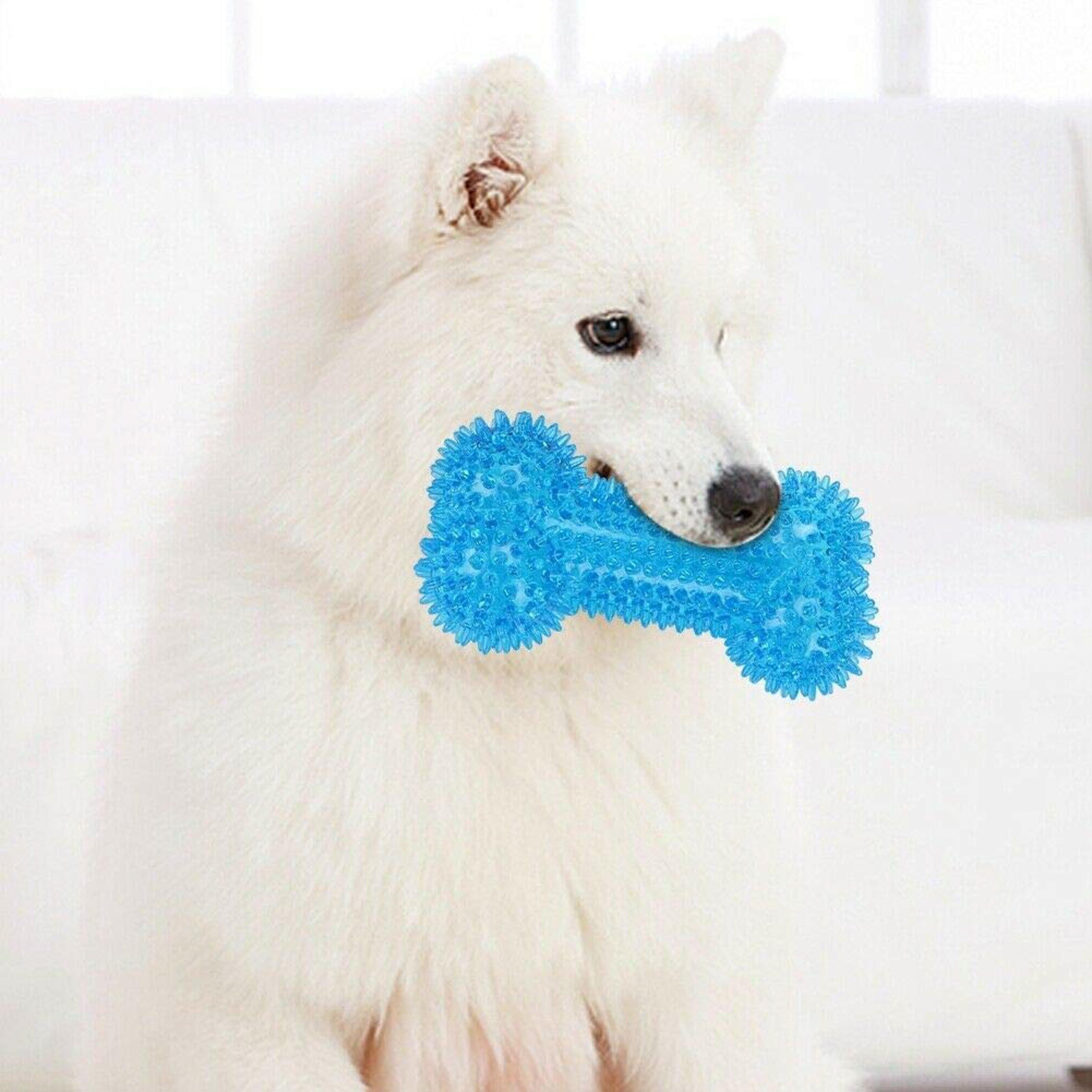 Are Bones Easily Digested By A Japanese Spitz