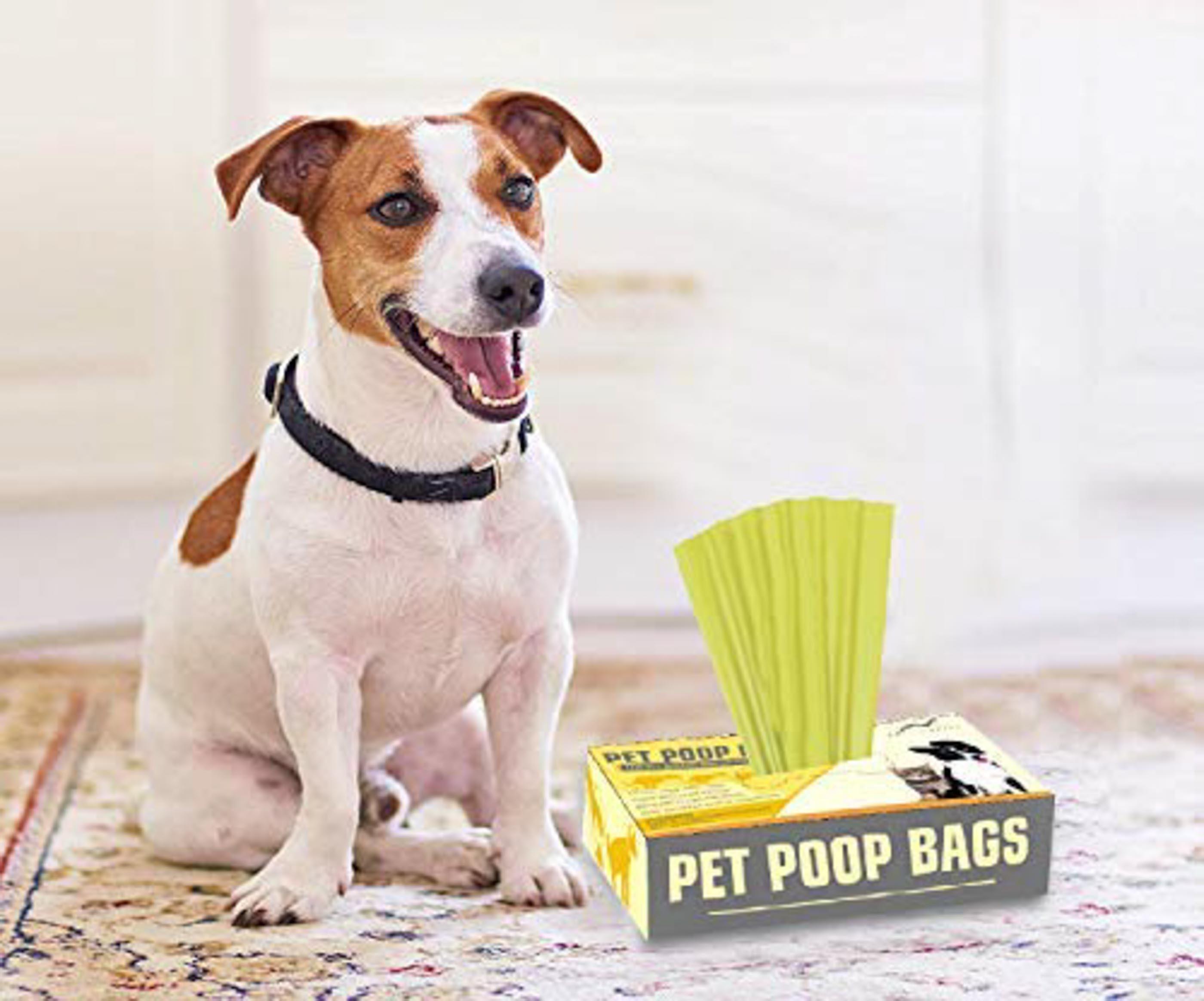 Does Dog Poop Biodegrade